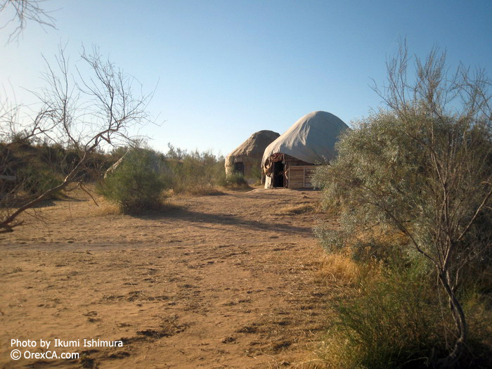 Yurt camping in Uzbekistan :: Yurts. Visit Kazakh and Karakalpak ...